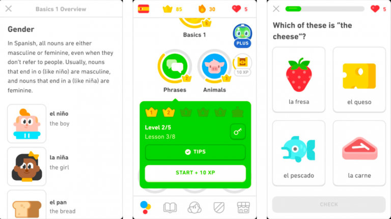 Duolingo Review: Features, Pricing, and How It Compares for Language ...