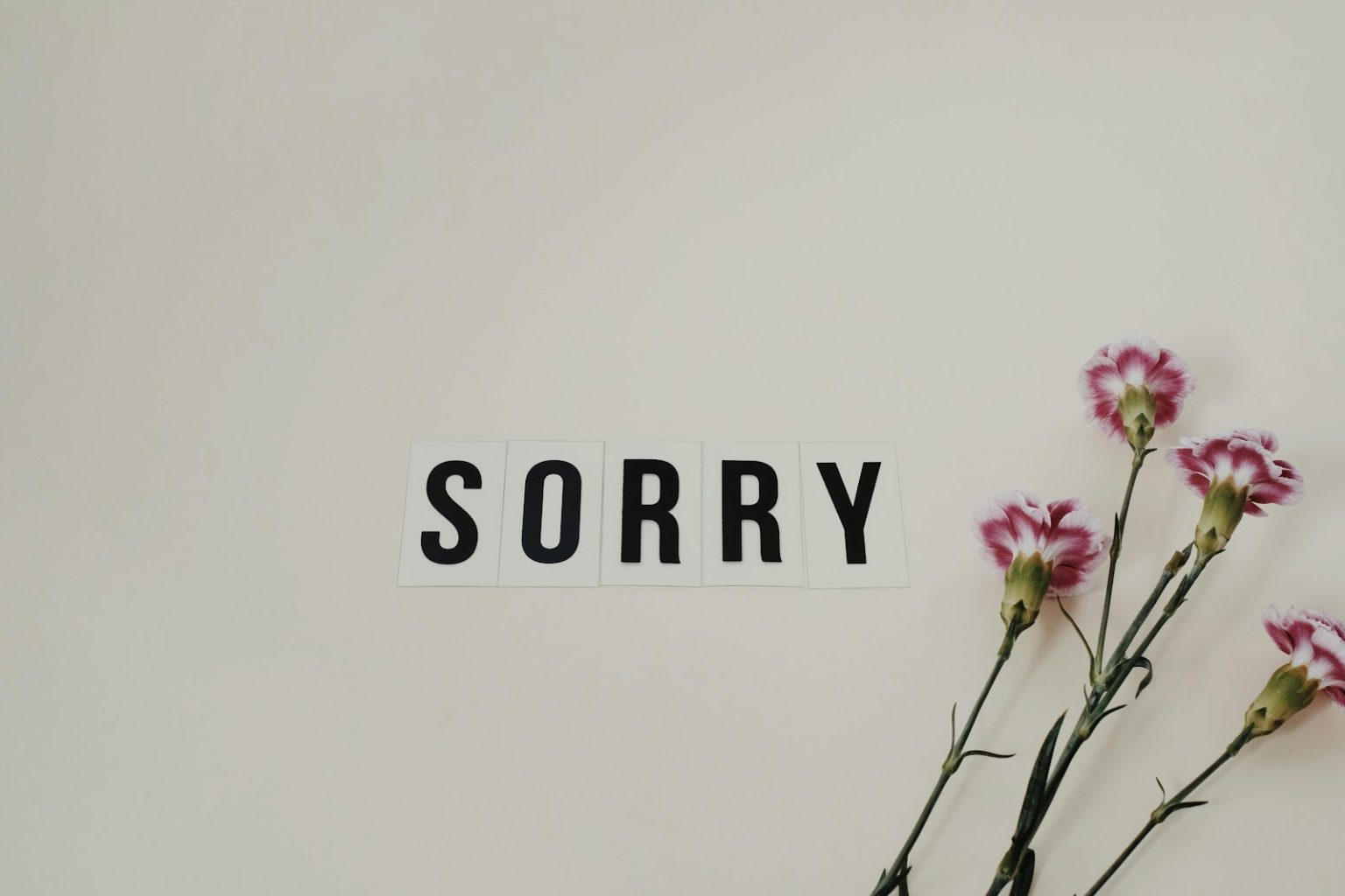 Saying Sorry in Spanish: The Complete Apology Guide - Cooljugator