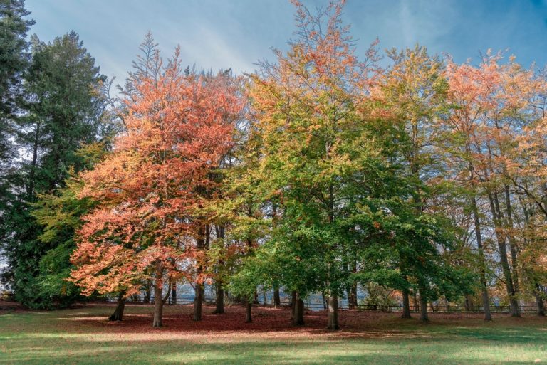 A Guide to the Four Seasons in Spanish: Las Estaciones del Año